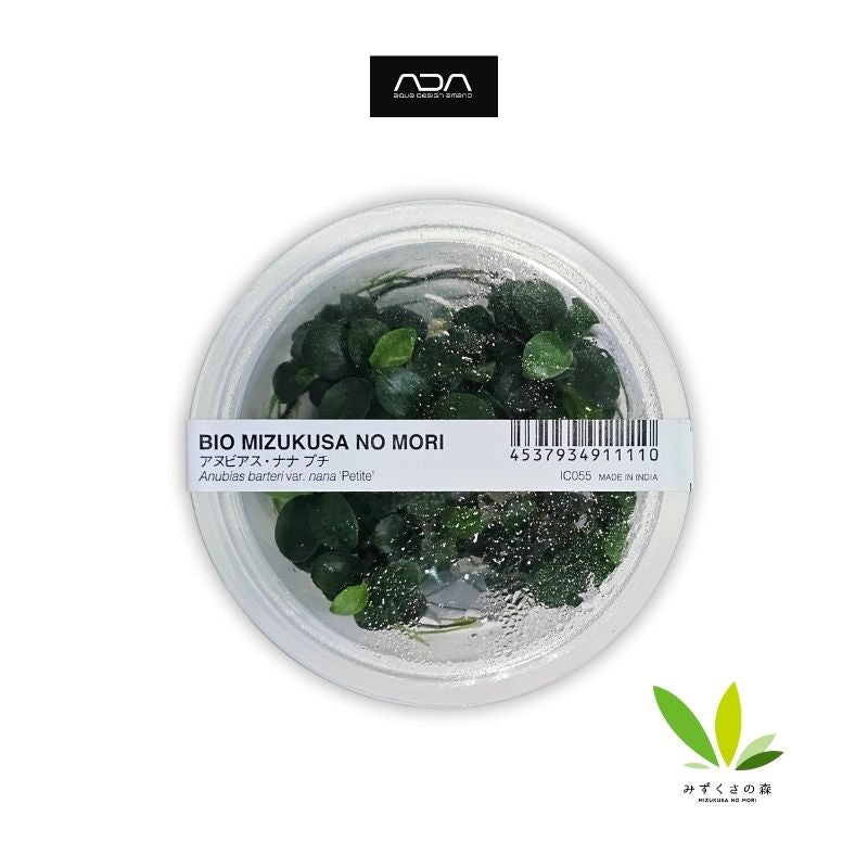 ADA - Aqua Design Amano – Aqua House