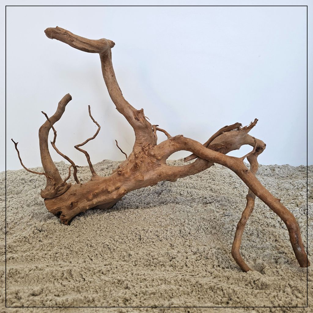 Red Moor Spider Wood L | Natural Driftwood | Aqua House
