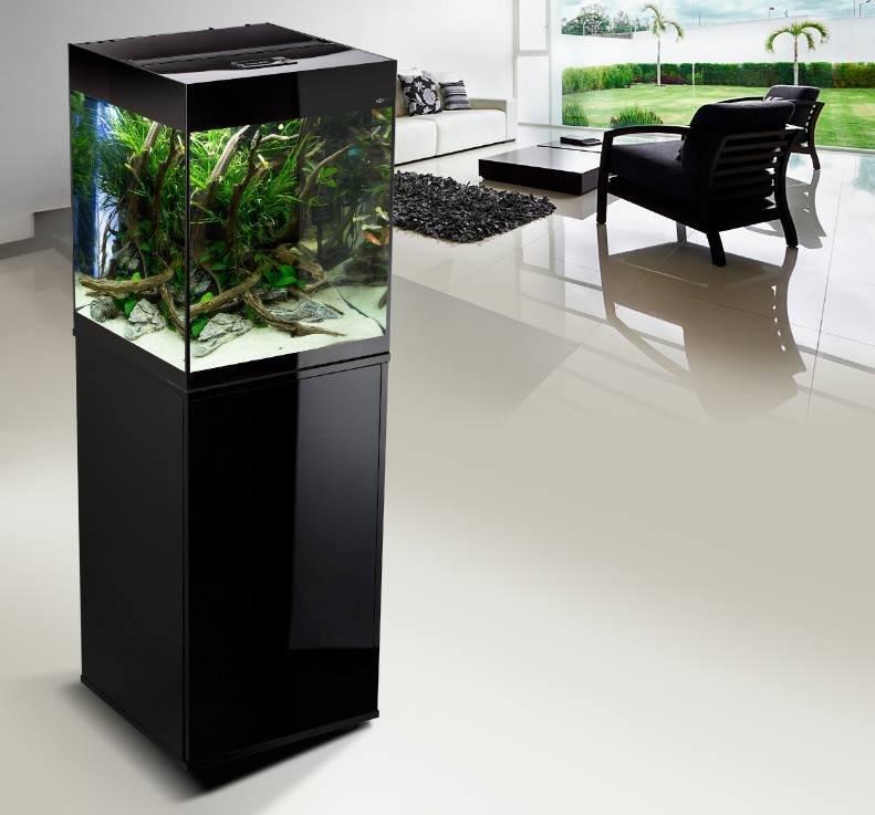 AQUAEL Aquarium GLOSSY CUBE 50 Set - Black – Aqua House