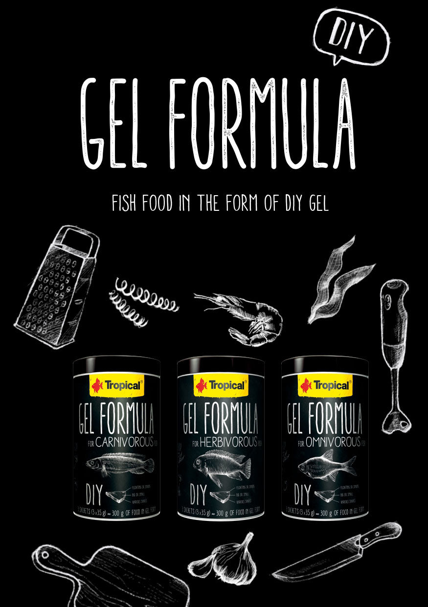 TROPICAL Gel Formula for Carnivorous Fish | Aquarium Fish Food | Aqua House